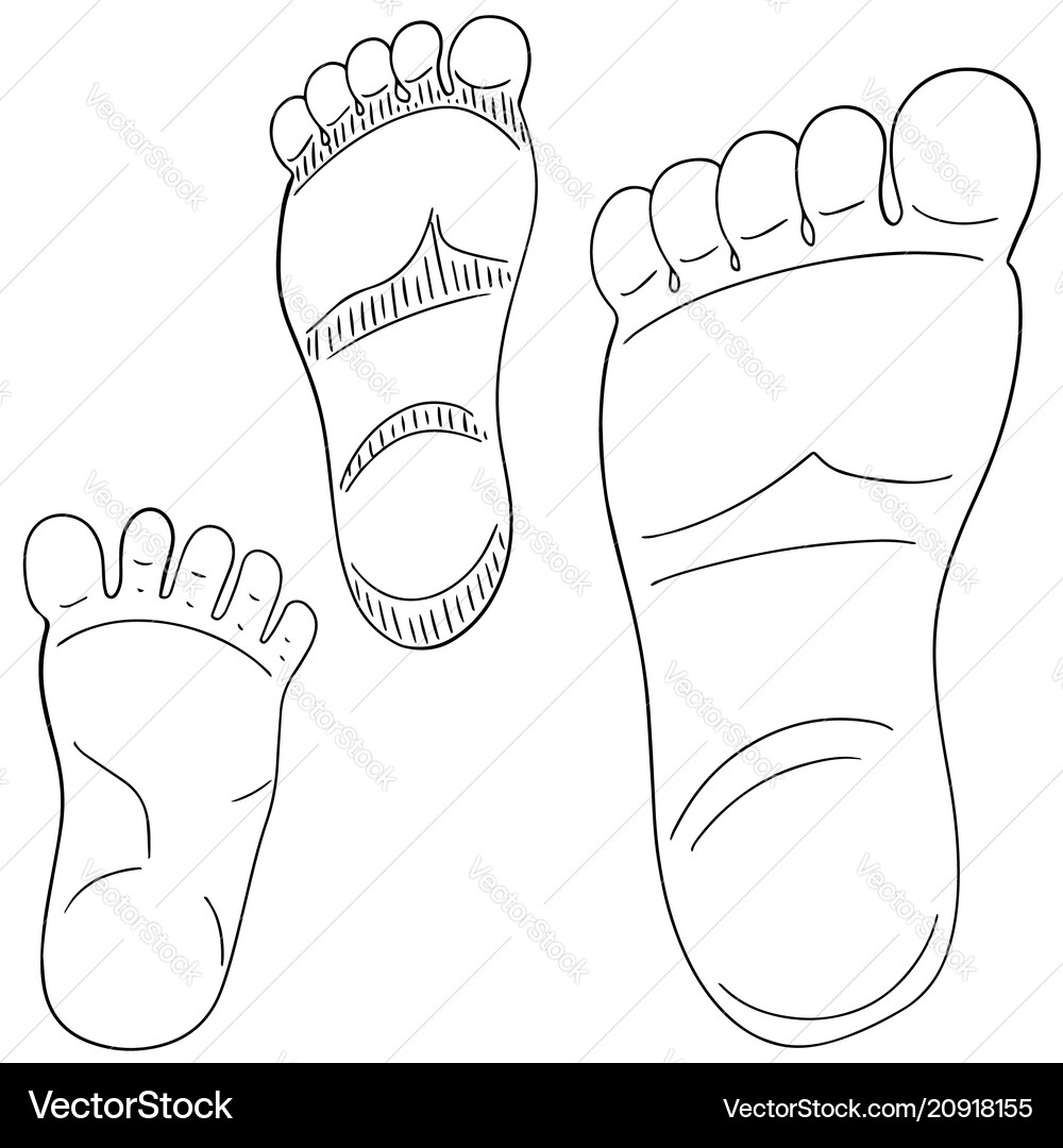 Set of foot sole Royalty Free Vector Image - VectorStock