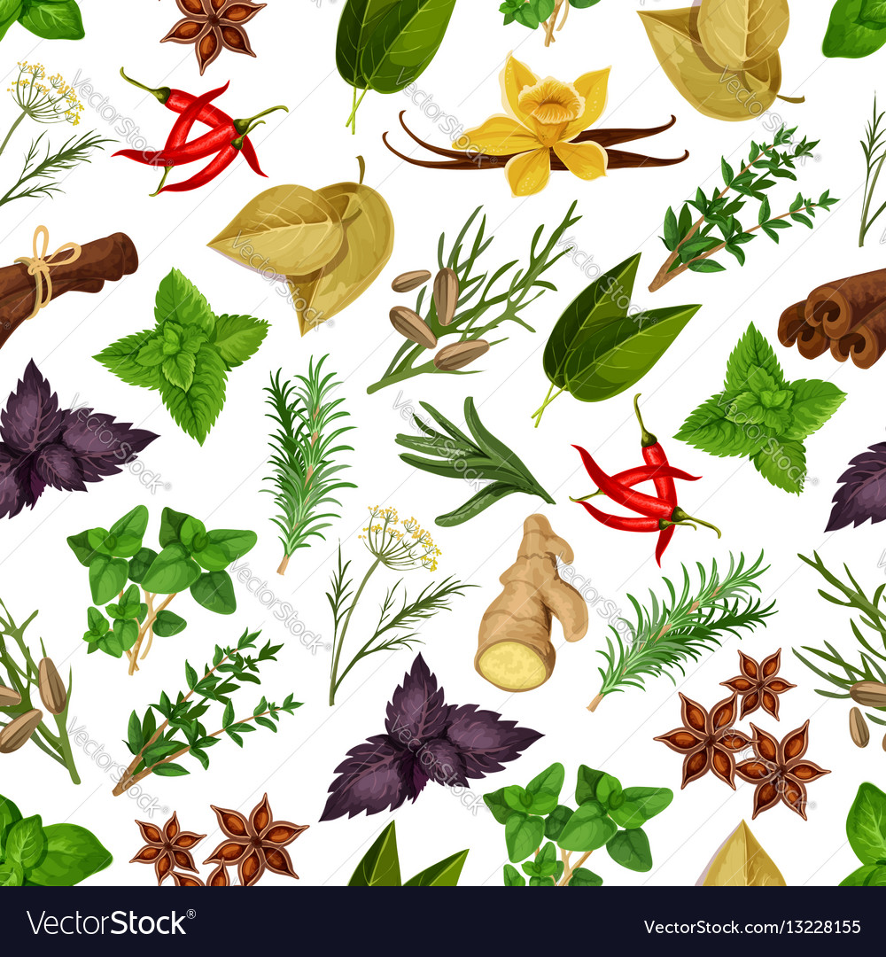 Spice and herb seamless pattern background Vector Image