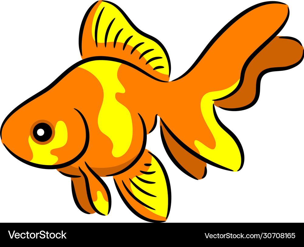 Goldfish Royalty Free Vector Image - VectorStock