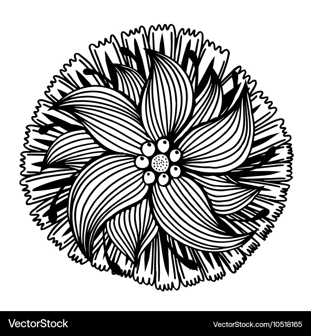 Hand drawn doodle flower Royalty Free Vector Image