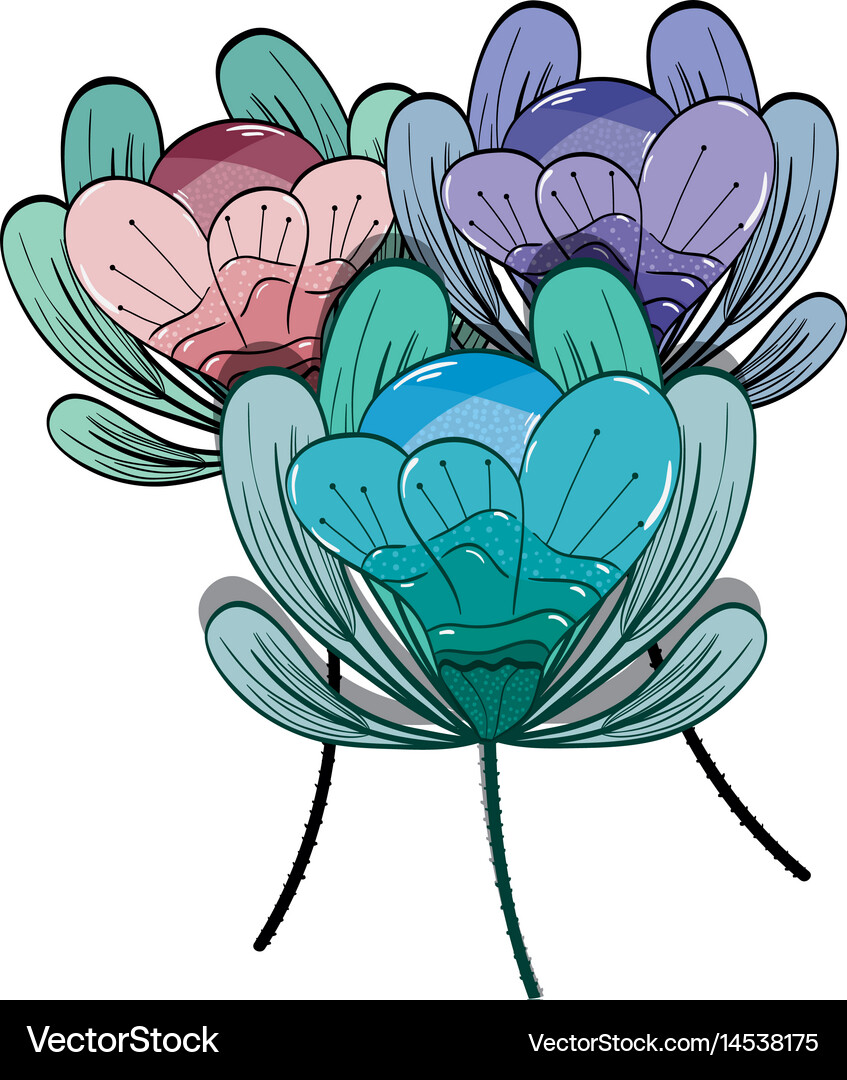 Beautiful petals flowers herbal botany Royalty Free Vector