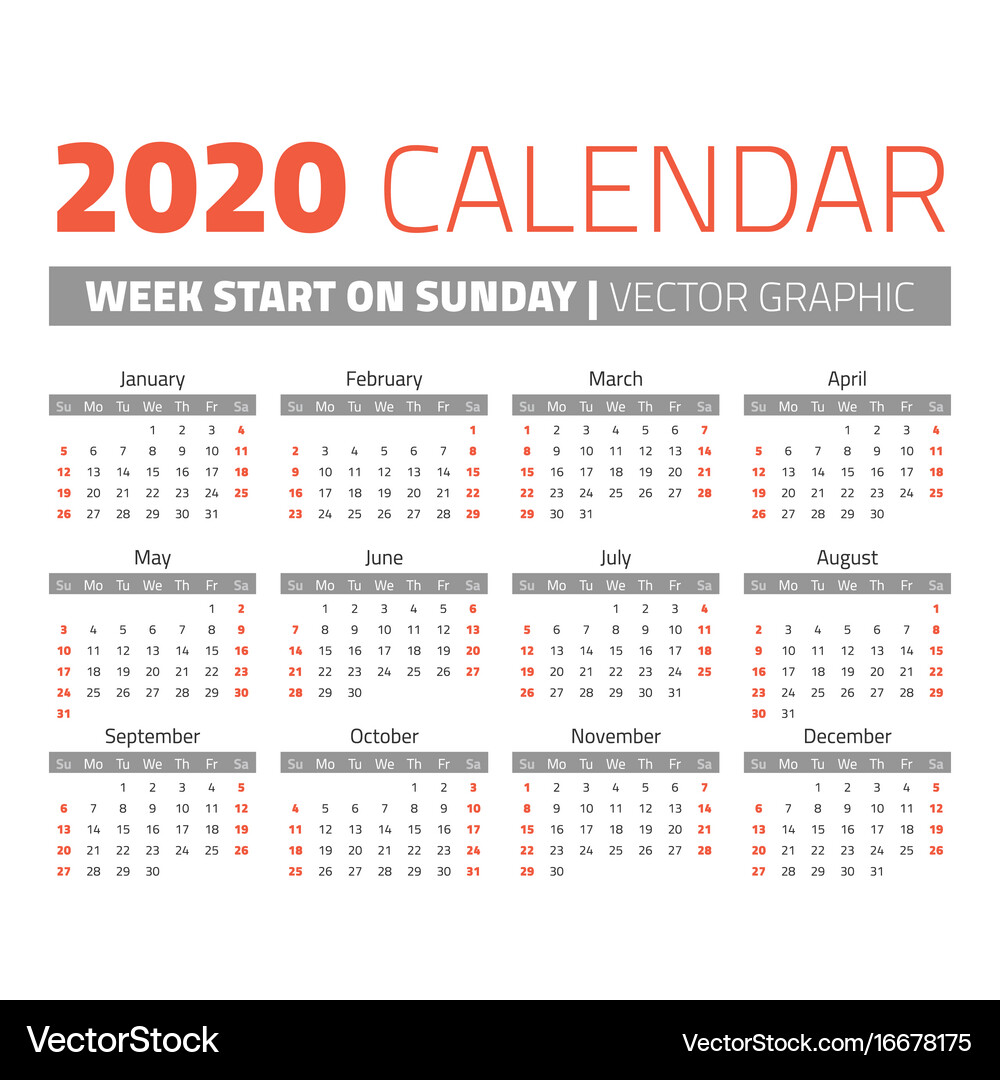 Simple 2020 year calendar Royalty Free Vector Image