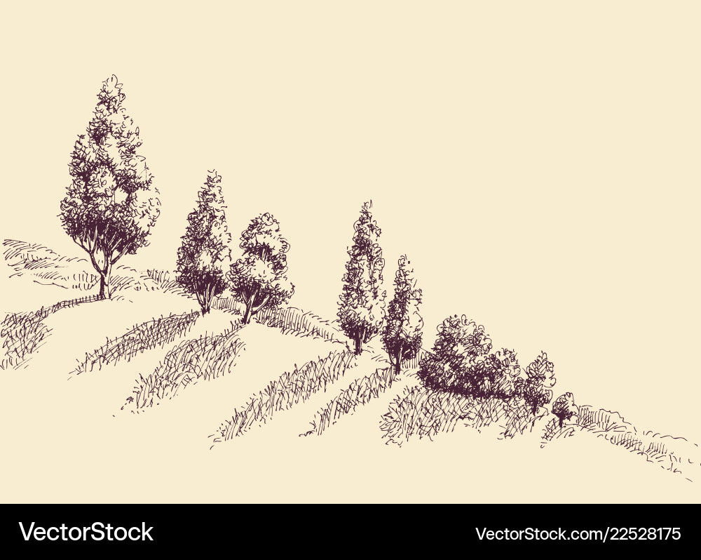 Trees growing on a hill slope sketch Royalty Free Vector