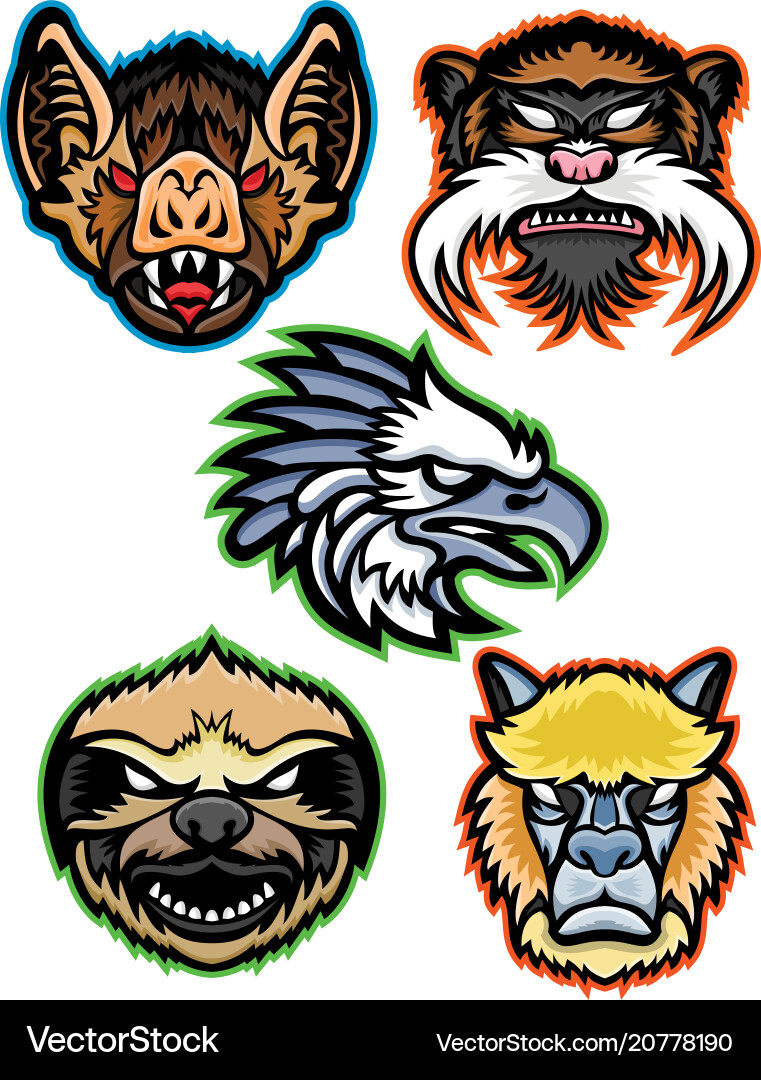 Amazon wildlife animals mascot collection series Vector Image