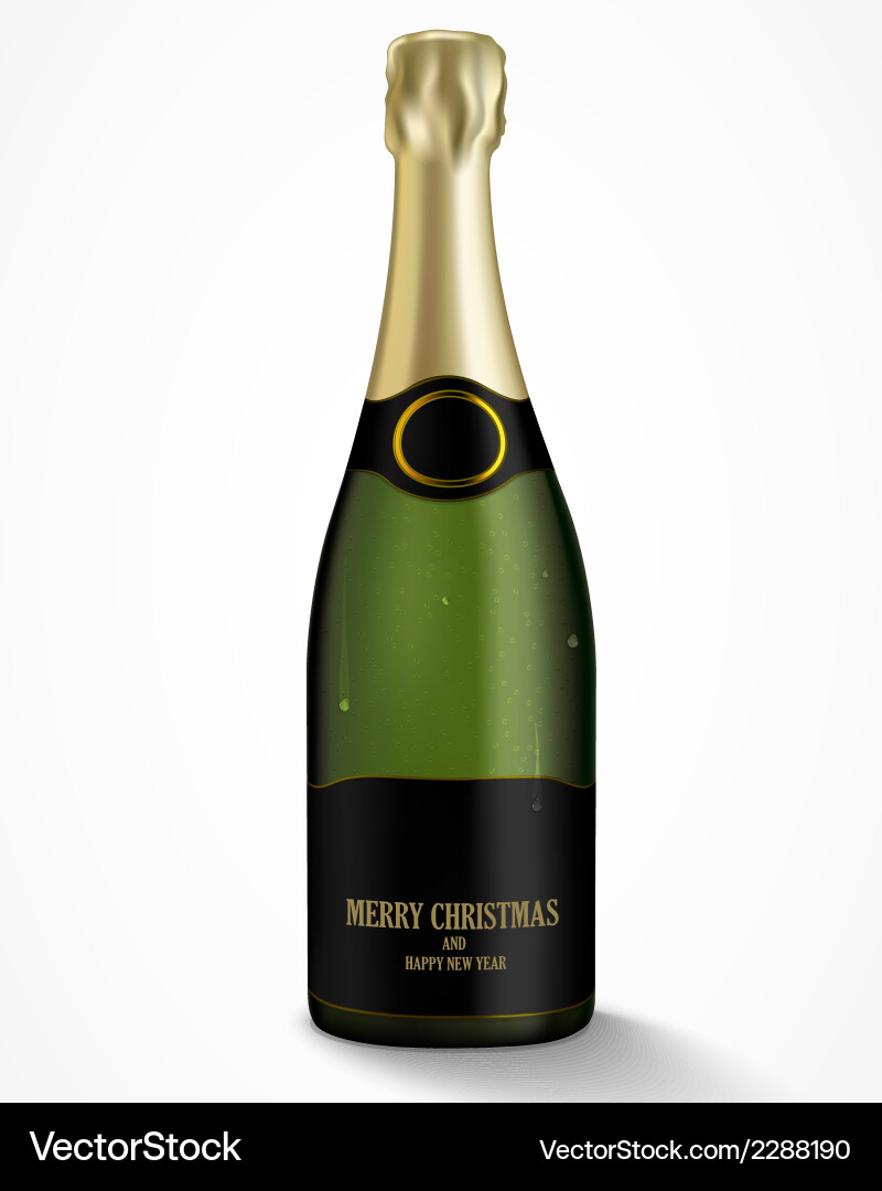 Bottle of champagne Royalty Free Vector Image - VectorStock