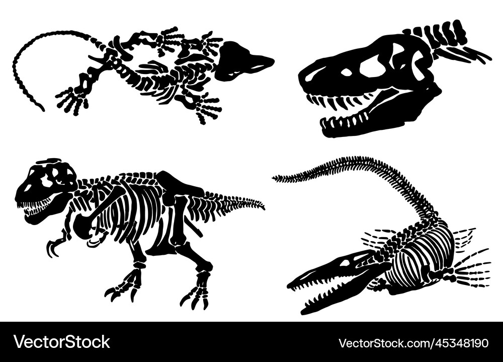 Graphical set of dinosaur skeletons Royalty Free Vector