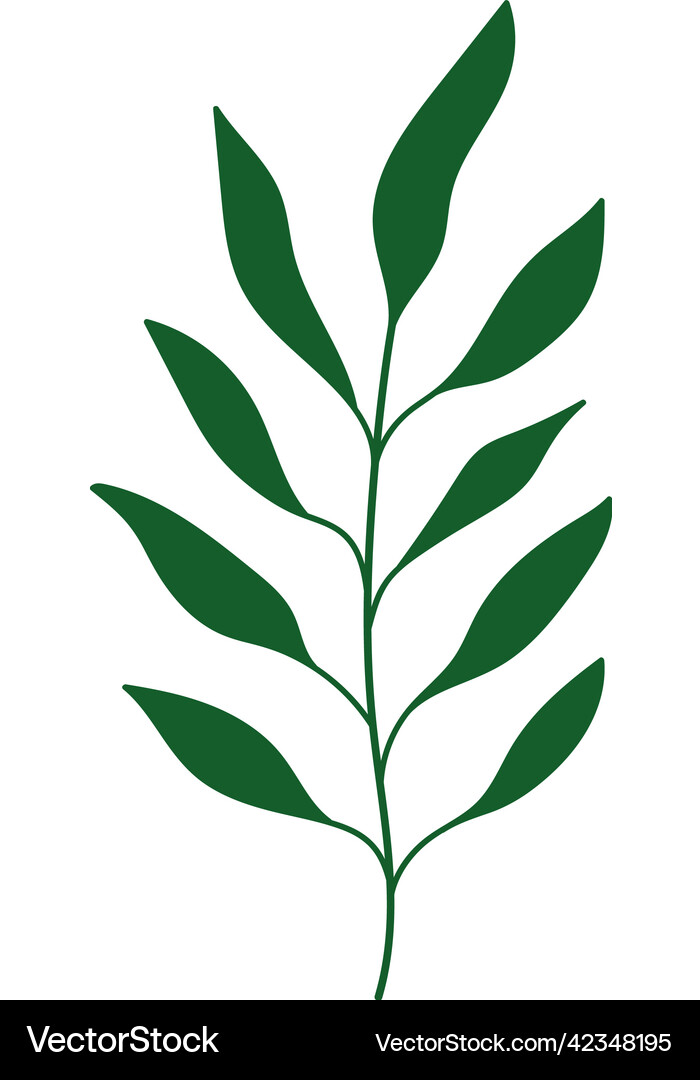 Leaves foliage nature Royalty Free Vector Image