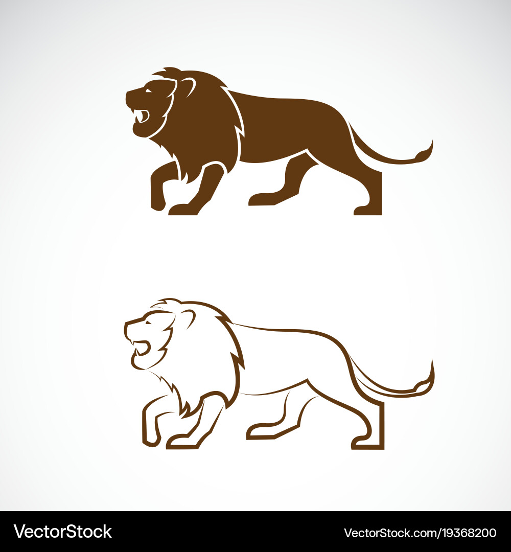 Male lion design on white background wild Vector Image