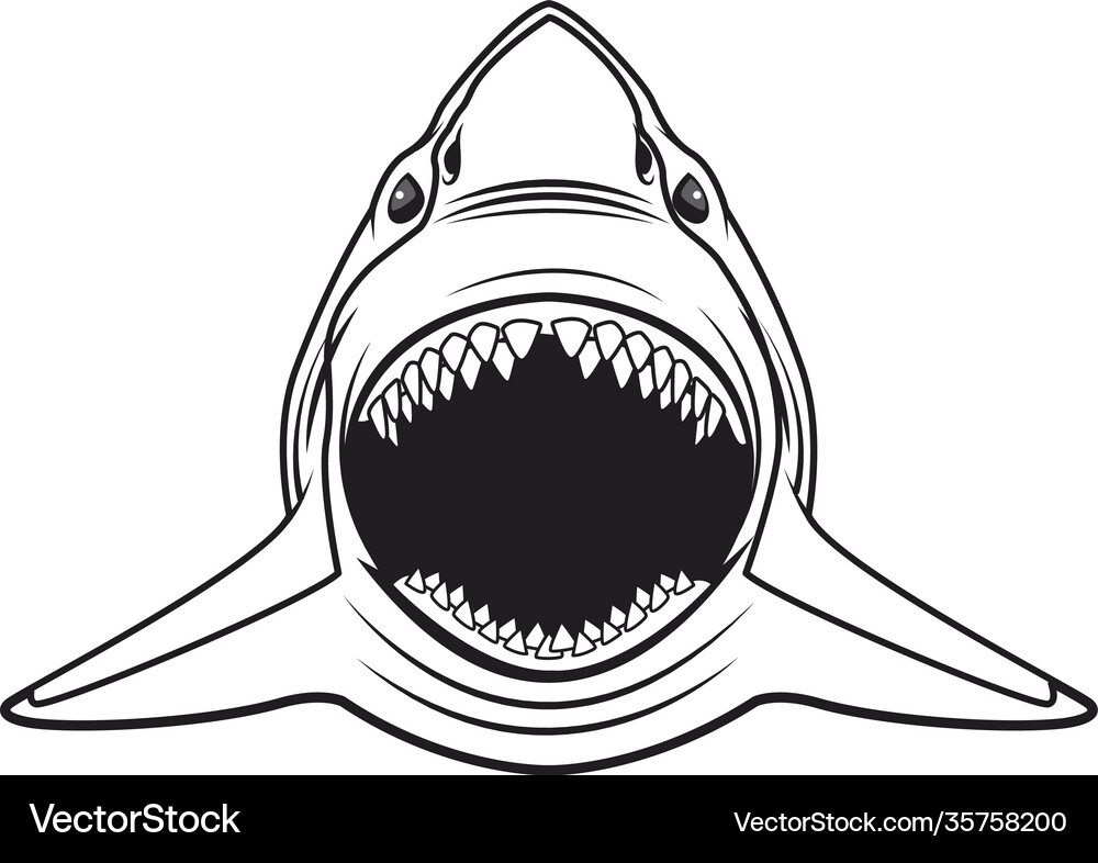 Shark animal wild head character icon Royalty Free Vector