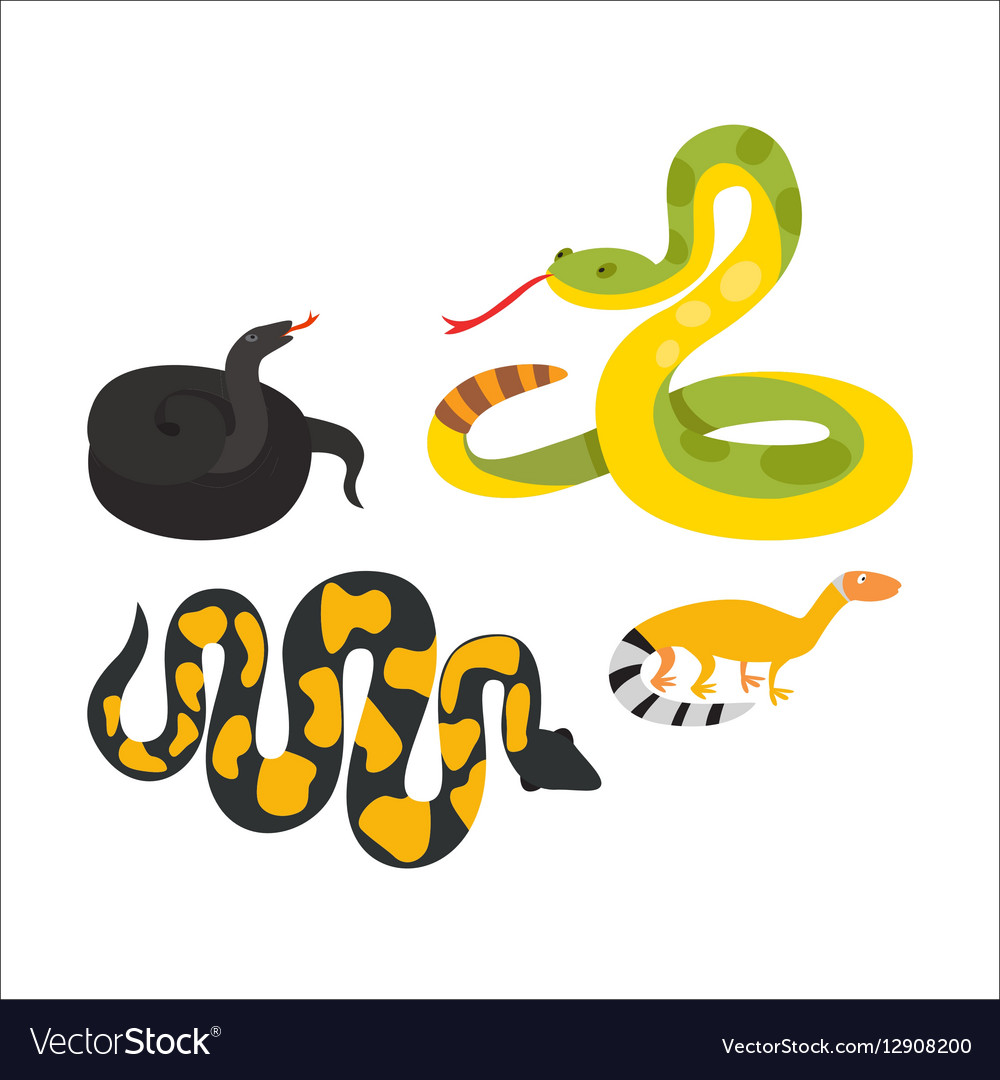 Snake reptile cartoon Royalty Free Vector Image