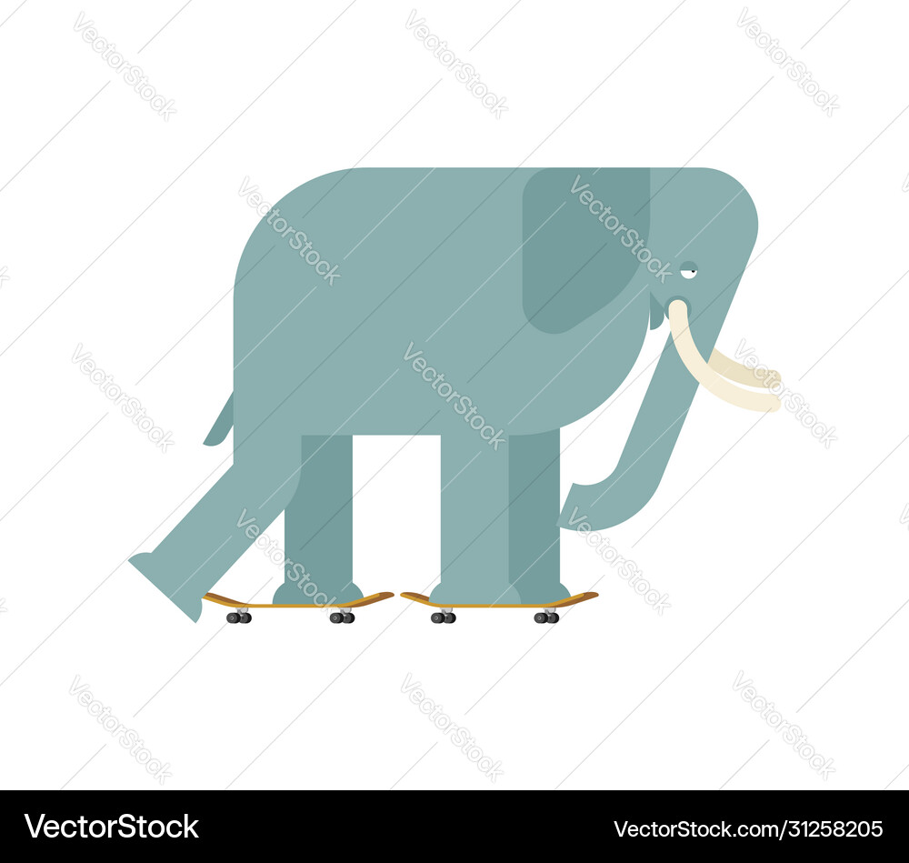 Elephant on skateboard large animal on board Vector Image