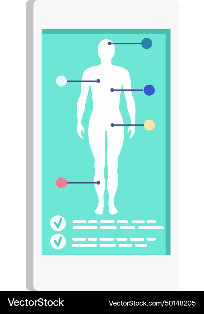 Human body infographic on a mobile device showing Vector Image