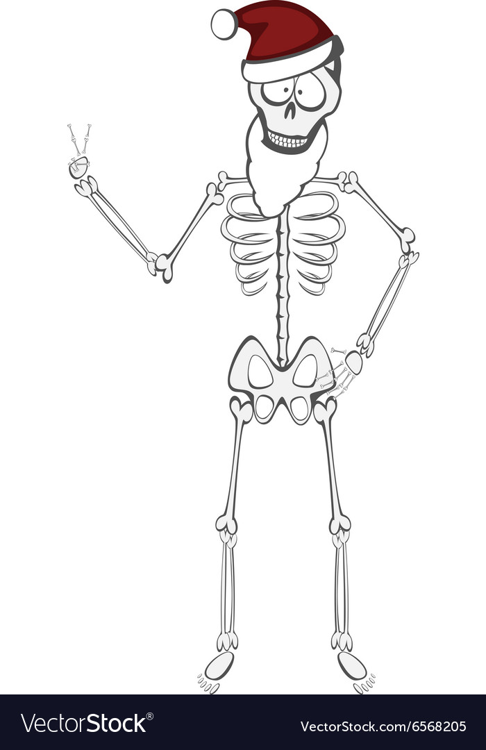 Skeleton buddy Royalty Free Vector Image - VectorStock