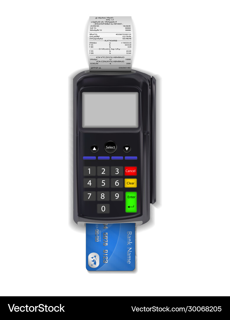 Terminal with inserted credit card and printed Vector Image