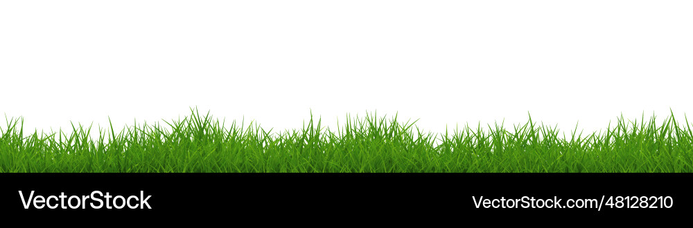 Very wide repeat border green uneven grass Vector Image