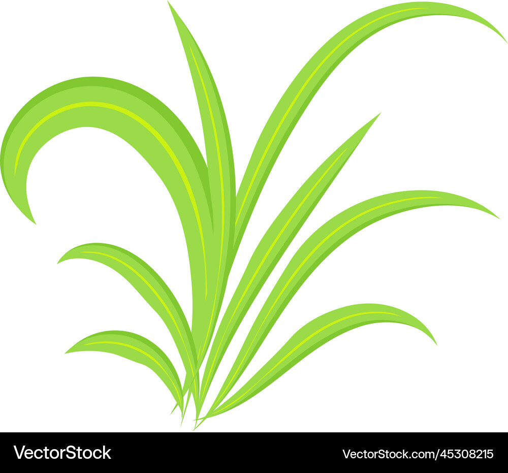 Grass patch Royalty Free Vector Image - VectorStock
