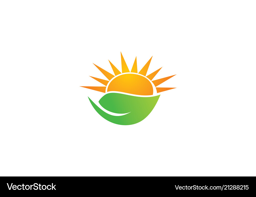 Organic sun shine green leaf logo Royalty Free Vector Image