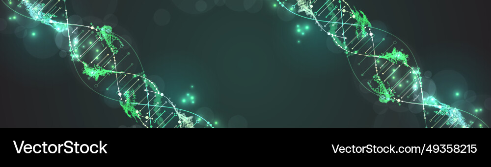 Science template wallpaper or banner with a dna Vector Image