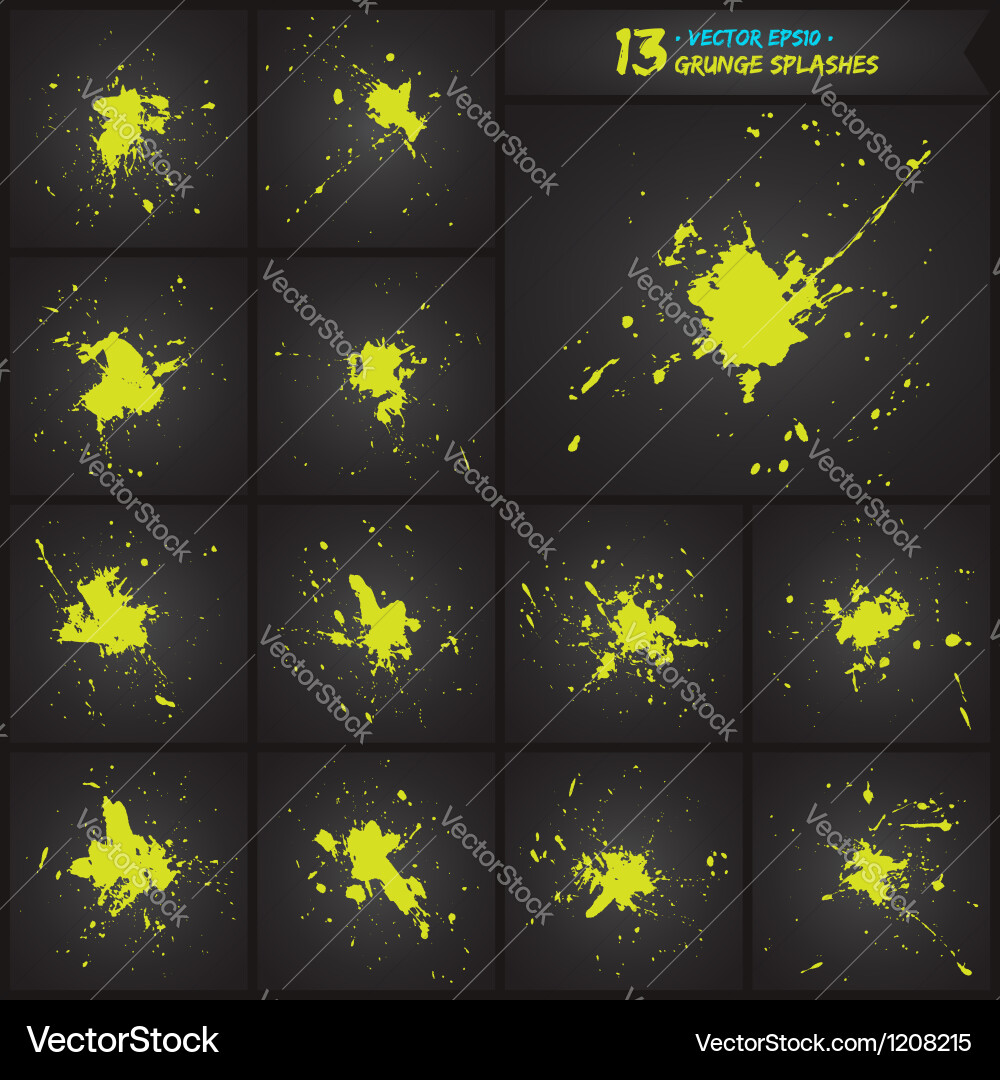 Set of grunge splashes Royalty Free Vector Image