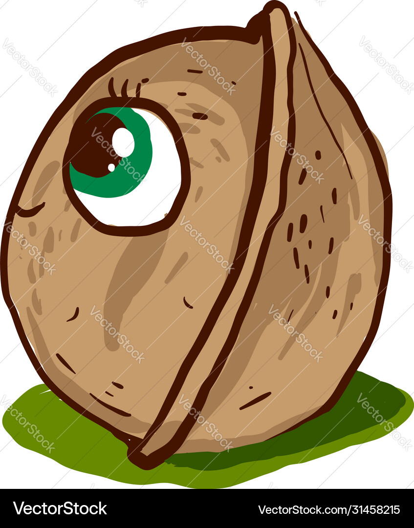 Walnut with green eyes on white background Vector Image