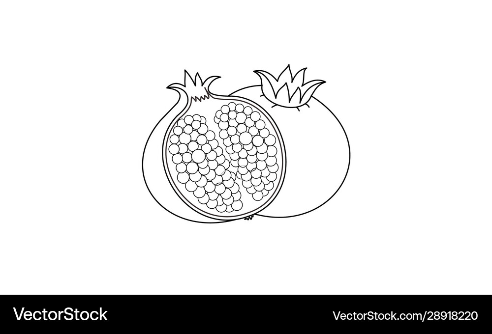 Coloring book fruit to educate kids learn colors Vector Image