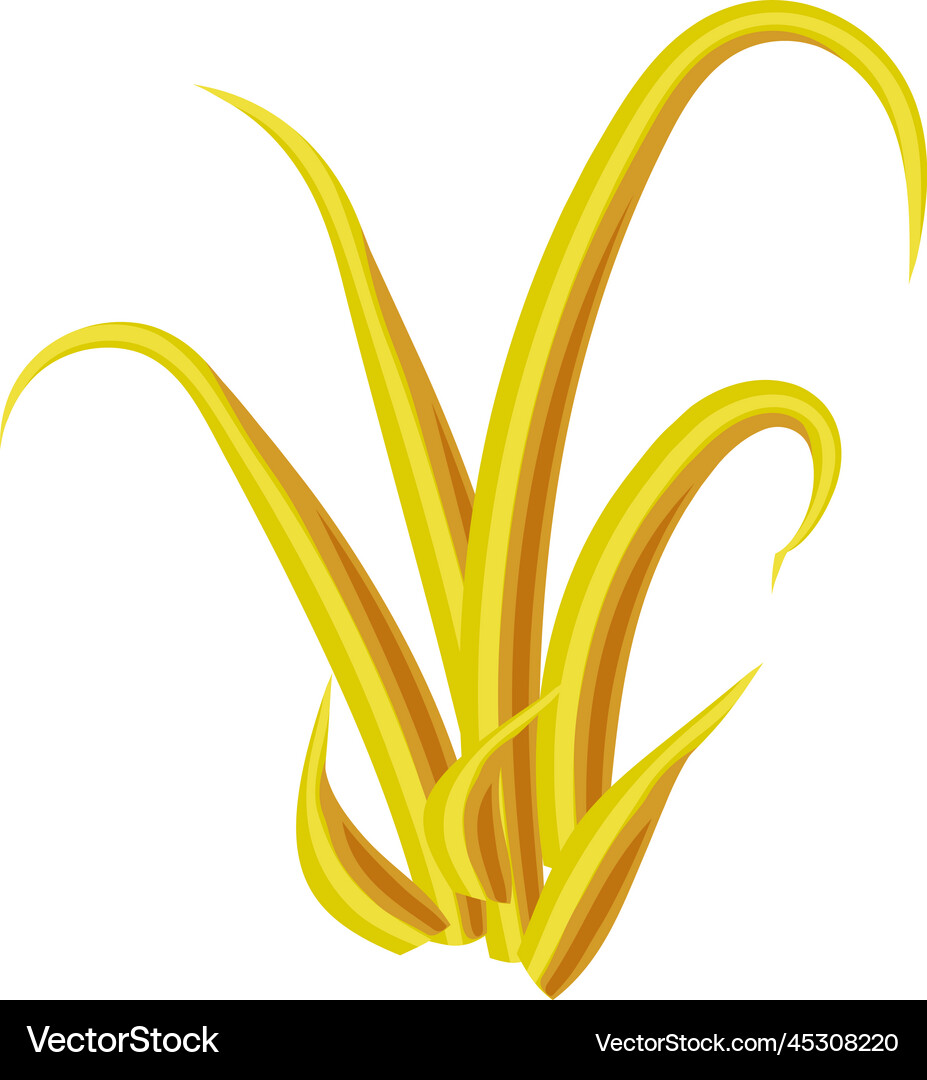 Dry grass Royalty Free Vector Image - VectorStock