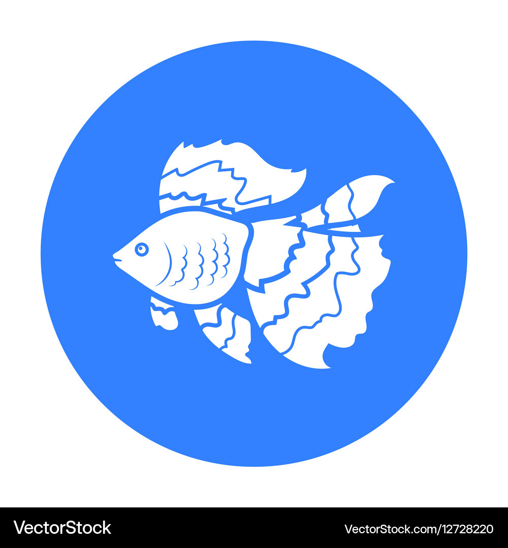 Gold fish icon black singe aquarium Royalty Free Vector