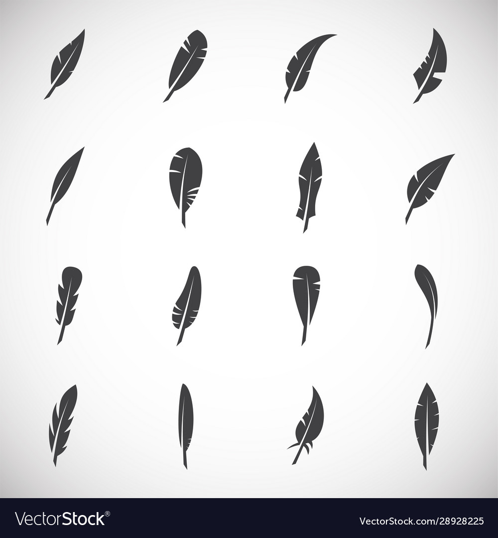 Feather icons set on background for graphic Vector Image