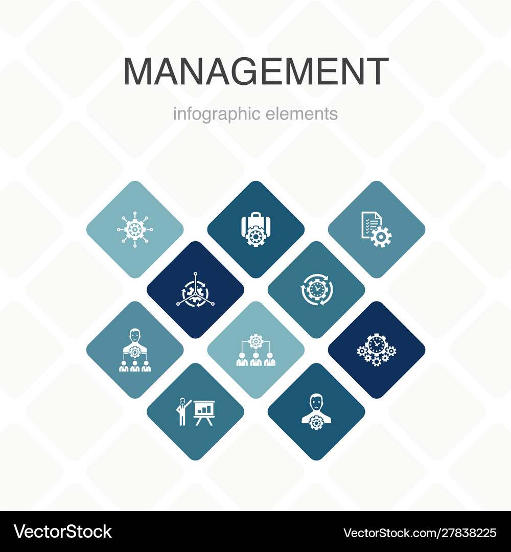 Management Icons - Organization & Strategy Vector Image