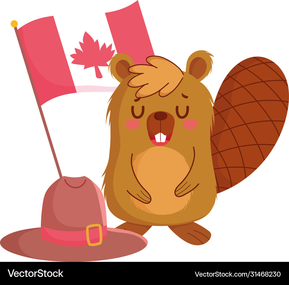 Beaver with canadian flag and hat design Vector Image