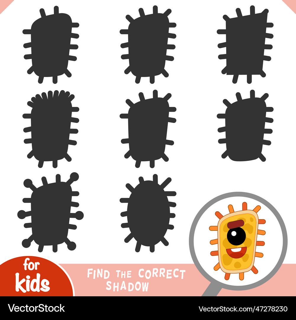 Find the correct shadow game for children cute Vector Image