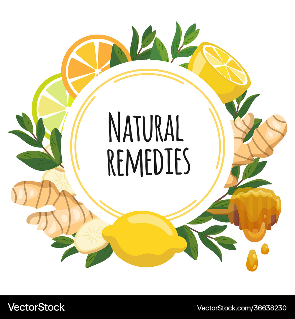 Natural remedies frame banner lemon ginger Vector Image