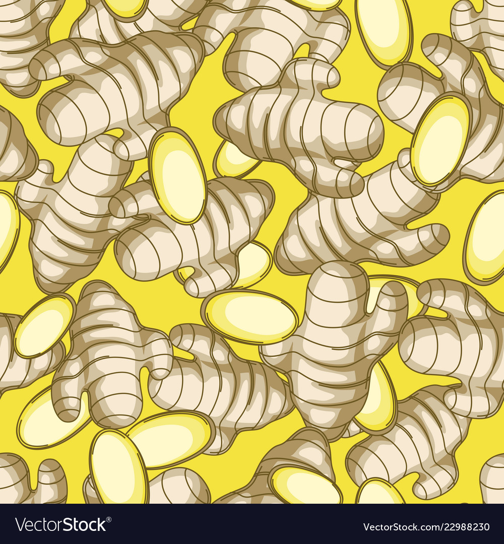Seamless pattern with ginger Royalty Free Vector Image