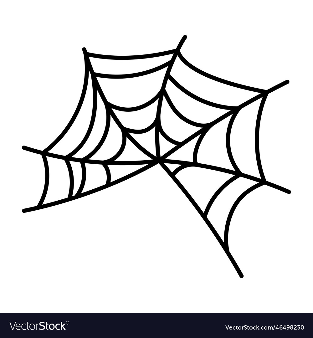 Spider web Royalty Free Vector Image - VectorStock