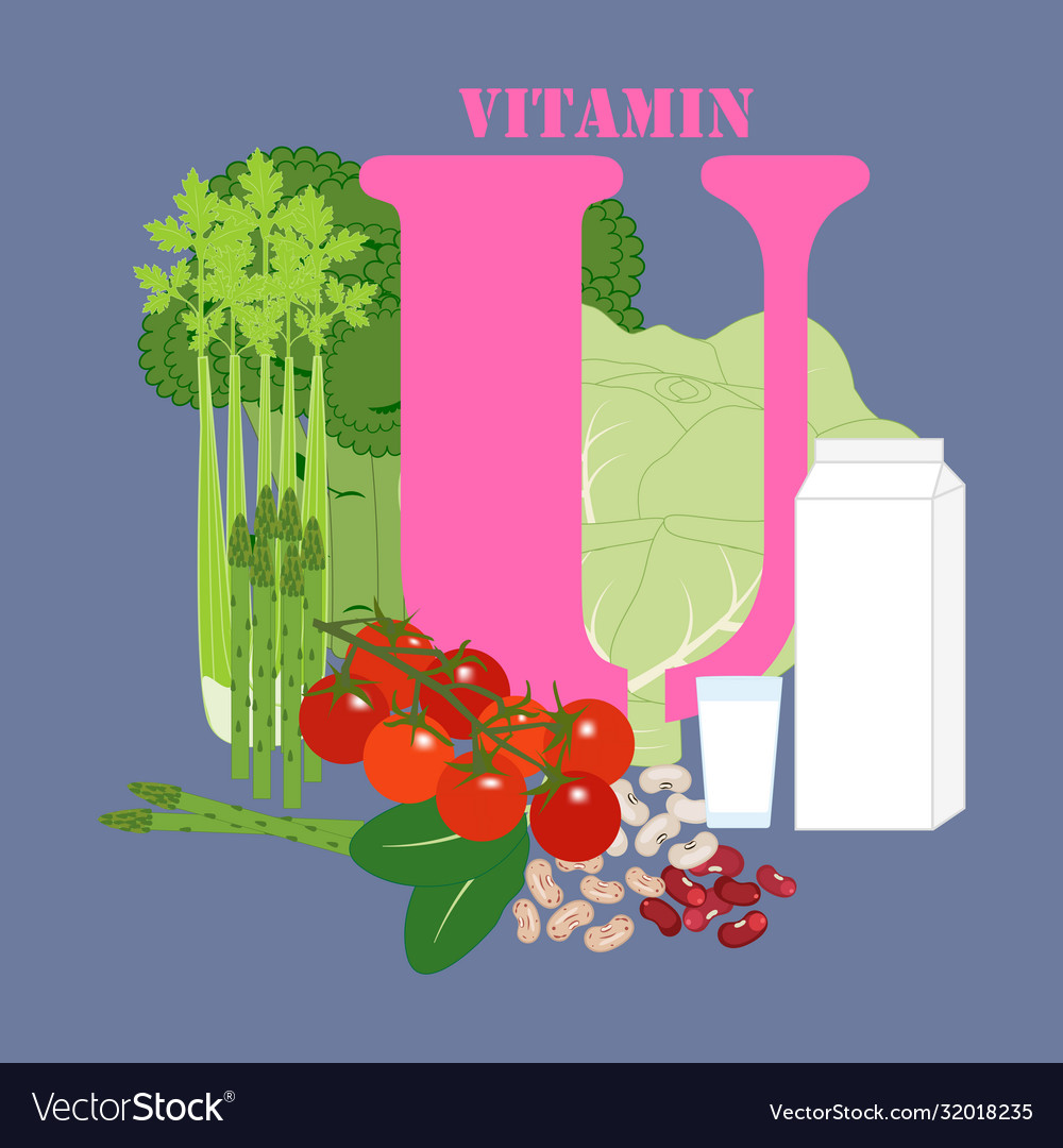 Vitamin u healthy nutrient rich food Royalty Free Vector