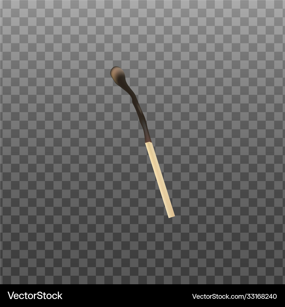 Burnt and charred in fire match realistic Vector Image