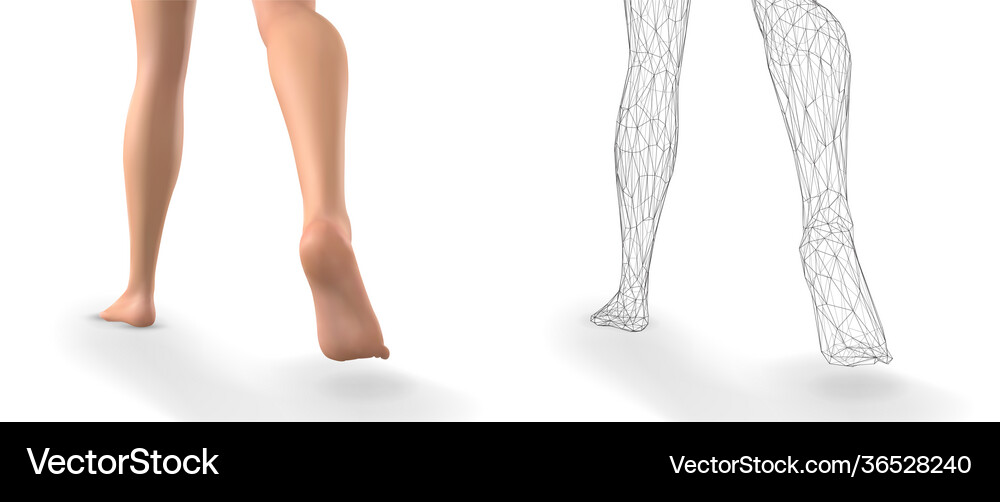 Female legs confident step isolated on white Vector Image