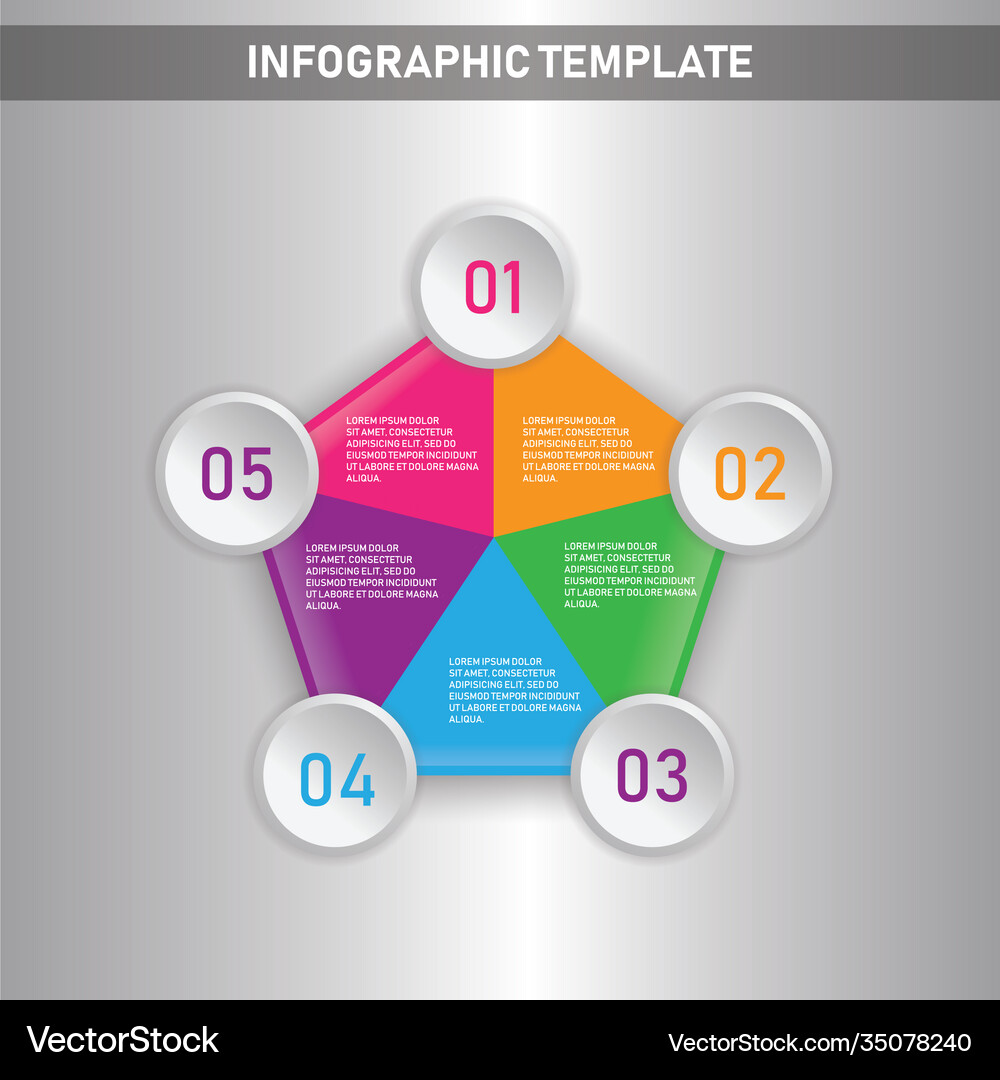 Infographic business conceptual template Vector Image