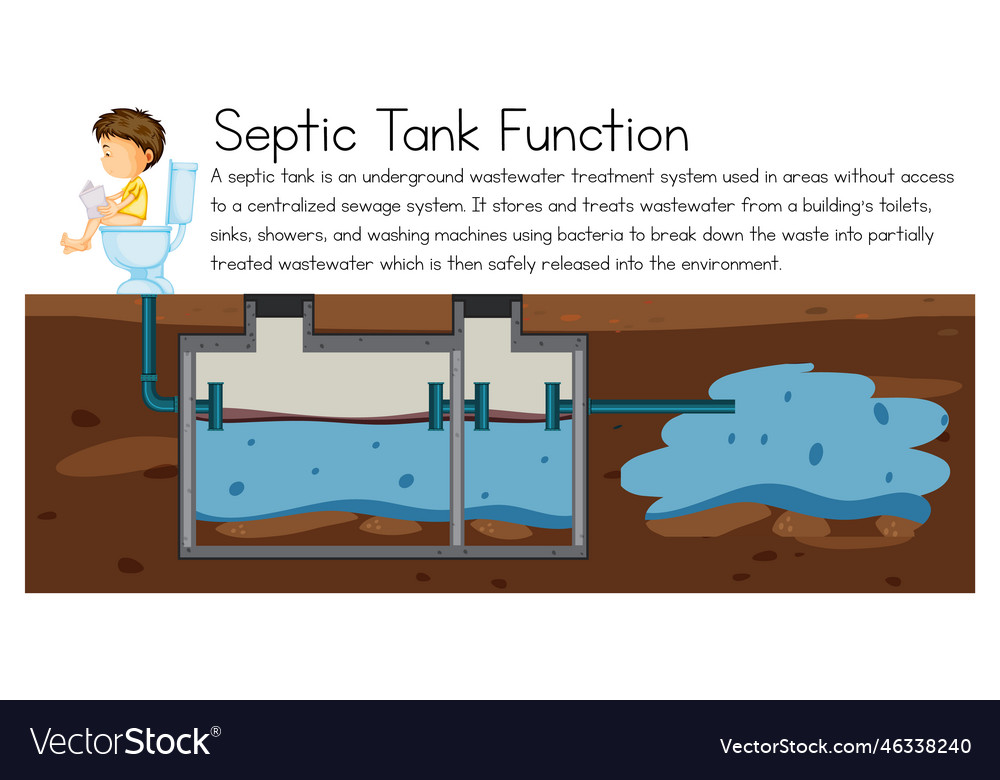 Septic tank function explanation Royalty Free Vector Image