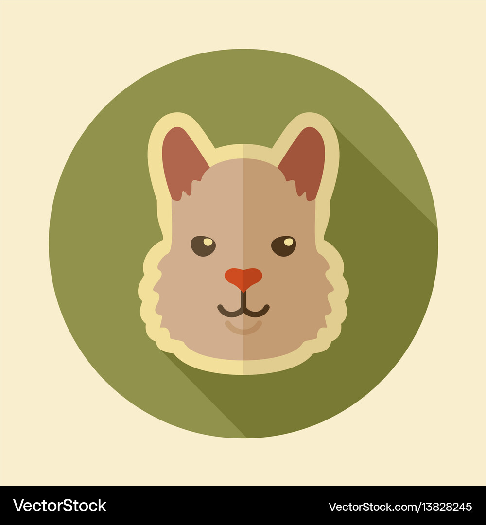 Lama flat icon animal head symbol Royalty Free Vector Image