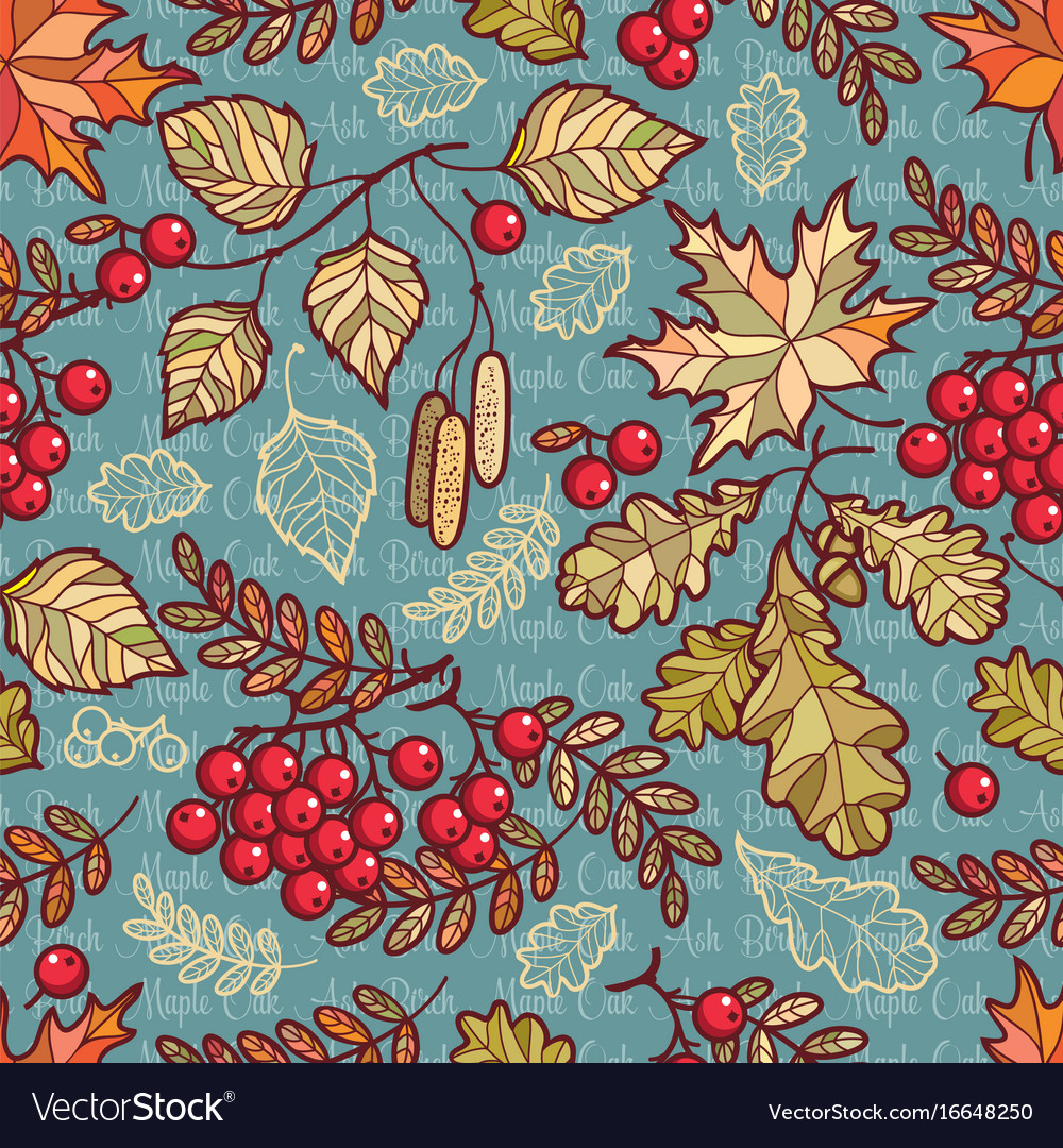 Seamless pattern deciduous autumn leaf ornament Vector Image Seamless pattern deciduous autumn leaf ornament Vector Image