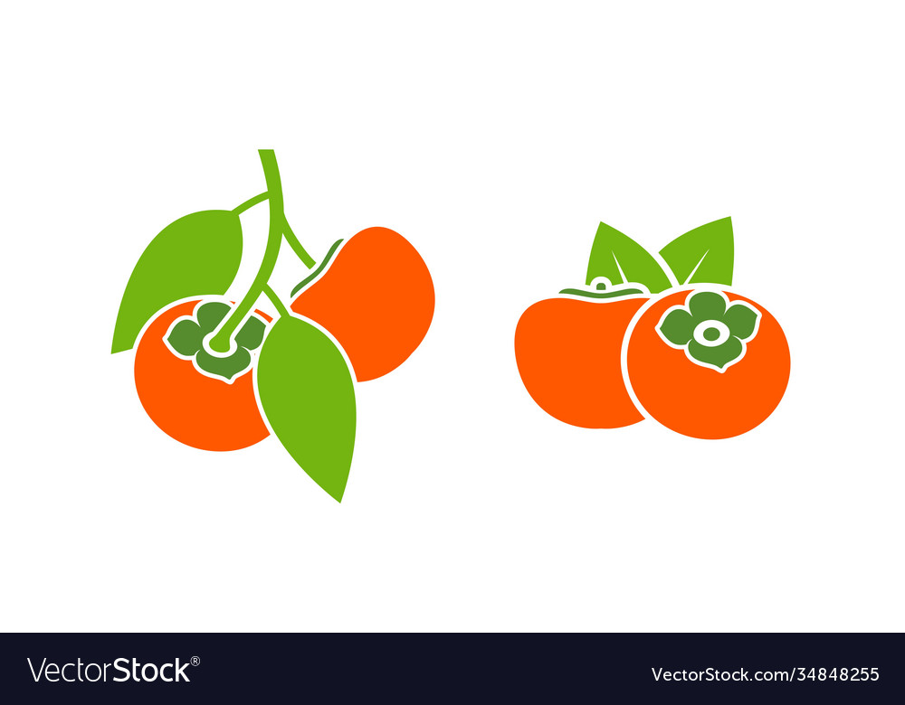 Persimmon Royalty Free Vector Image - VectorStock