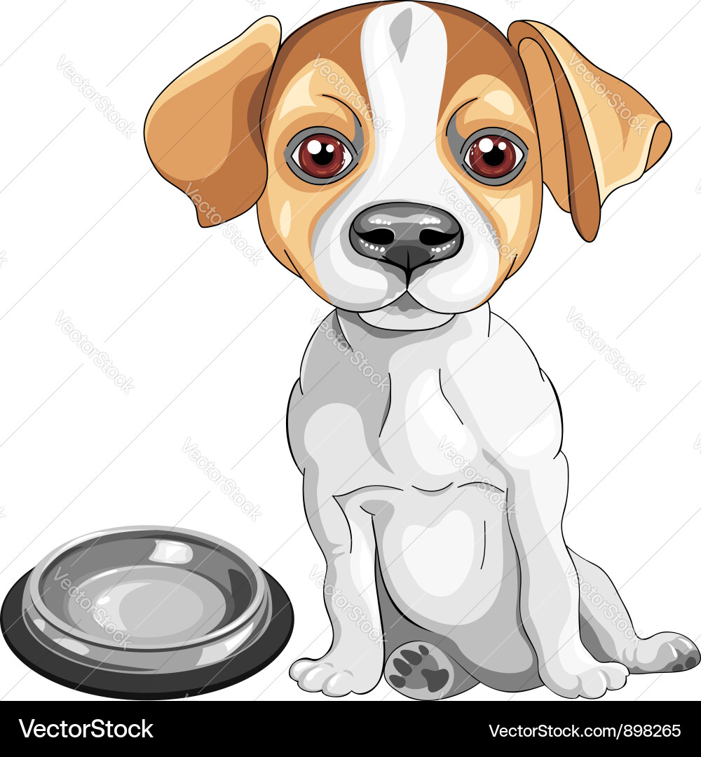 Dog Jack Russell Terrier Breed Royalty Free Vector Image