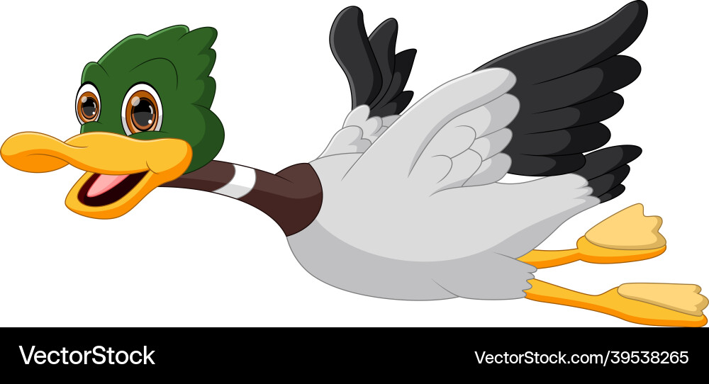 Flying duck cartoon on whit Royalty Free Vector Image