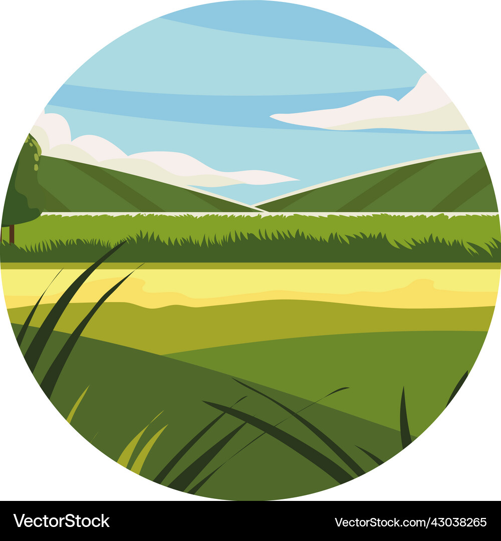 Rural field hills Royalty Free Vector Image - VectorStock