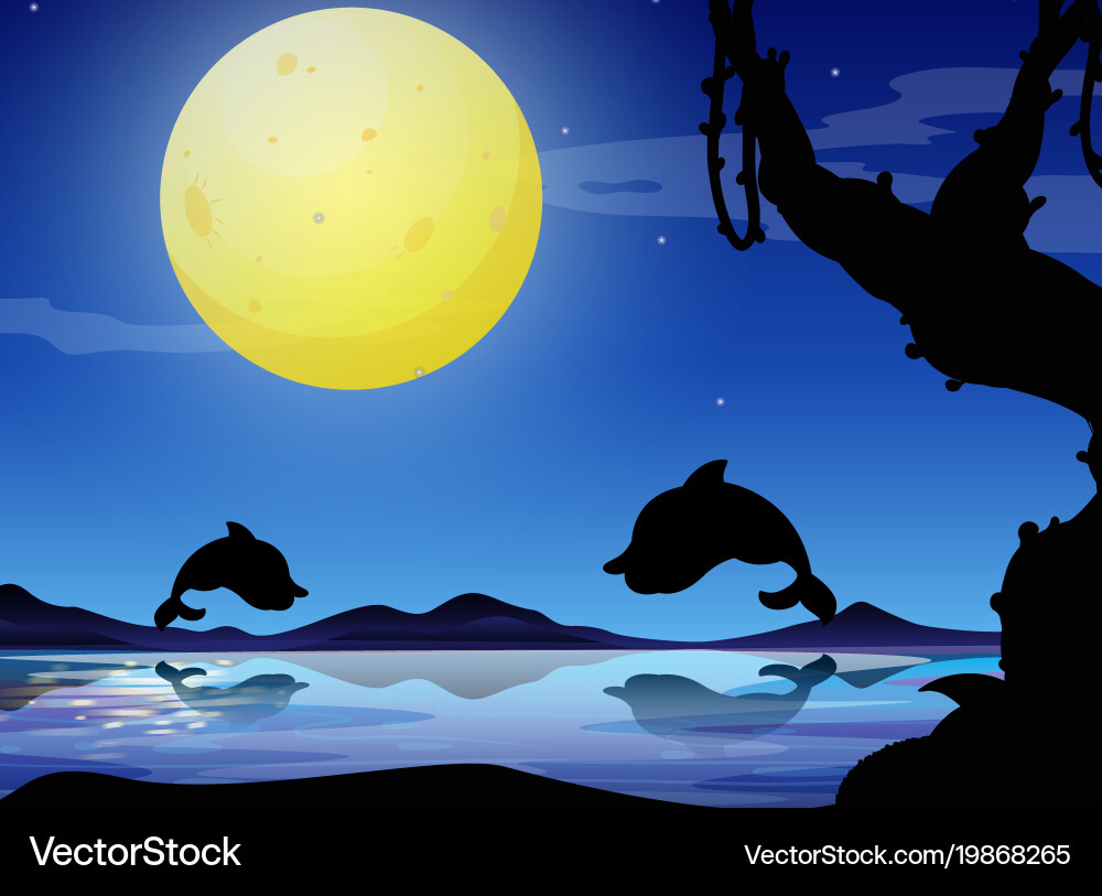 Silhouette background scene with dolphin at night Vector Image