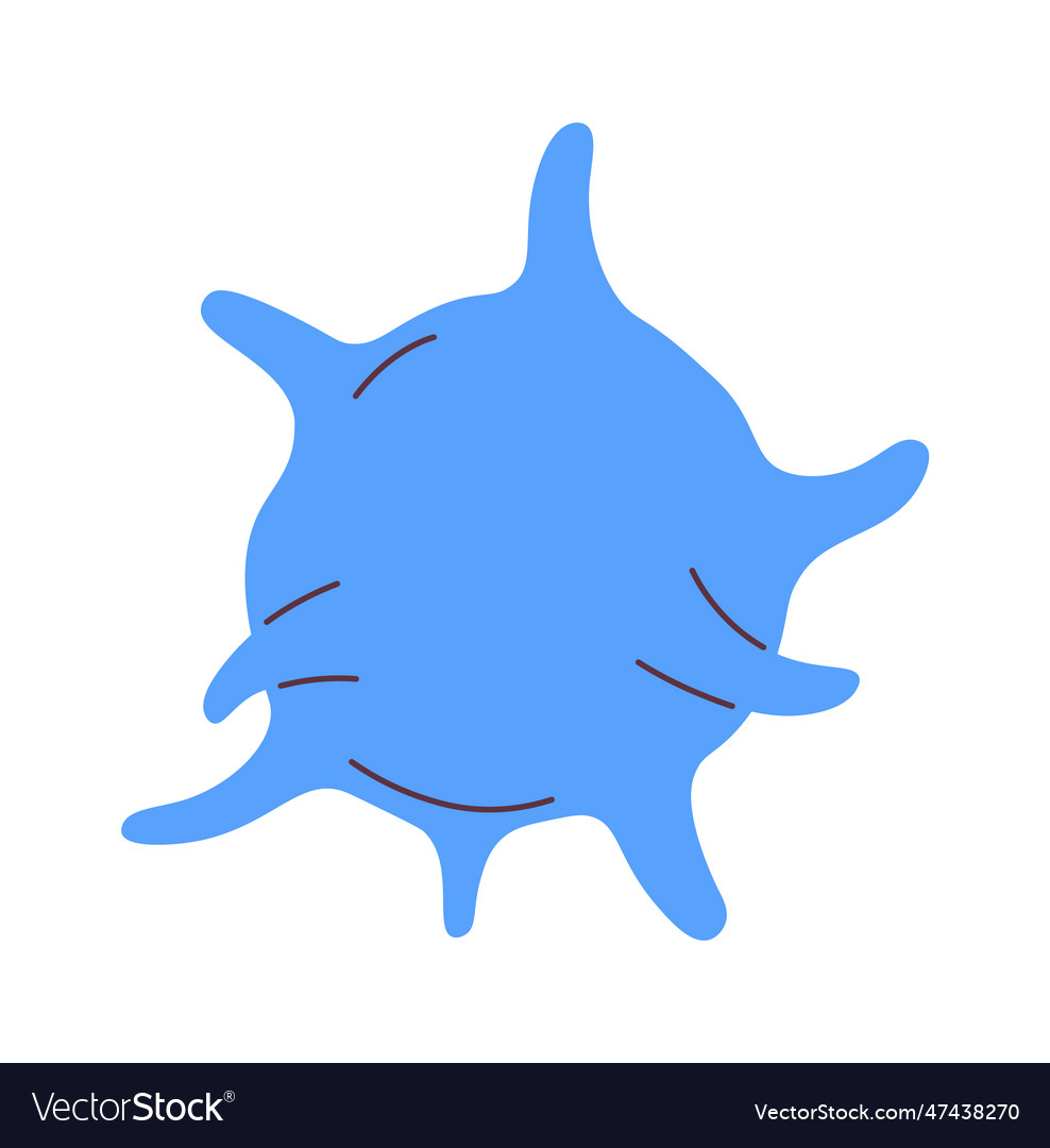 Platelet human cell Royalty Free Vector Image - VectorStock