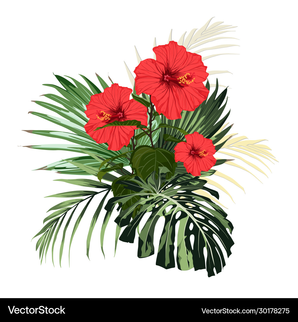Botanical beautiful tropical flowers Royalty Free Vector