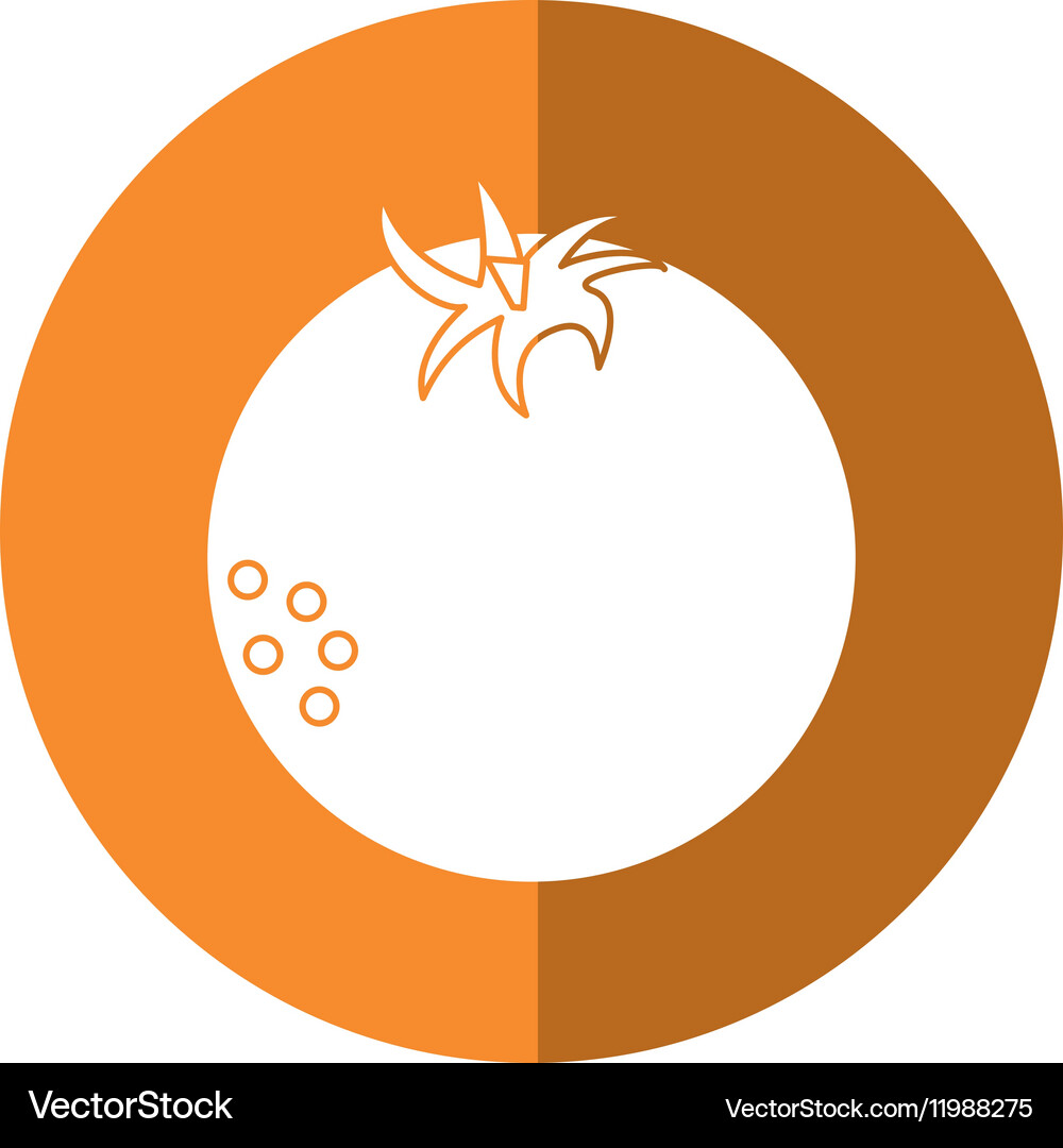Fresh orange fruit nature yellow circle shadow Vector Image