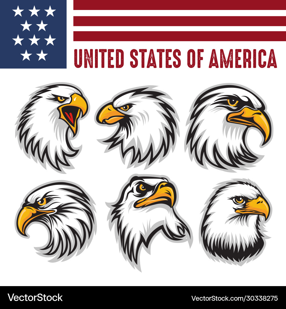Hawk eagle head usa logo mascot icon illu Vector Image
